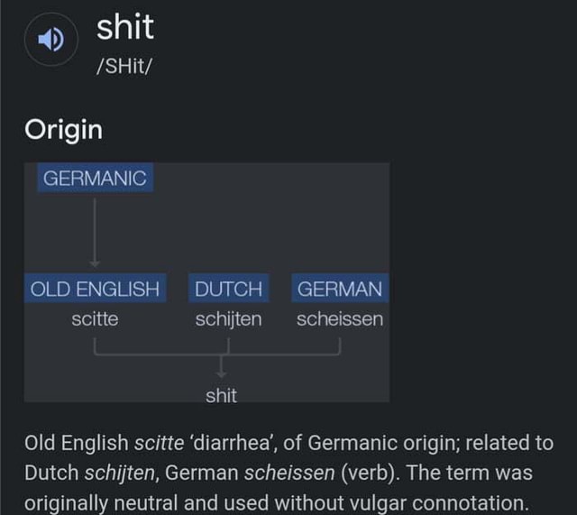 4) shit /SHit/ Origin GERMANIC OLD ENGLISH DUTCH GERMAN scitte schijten ...