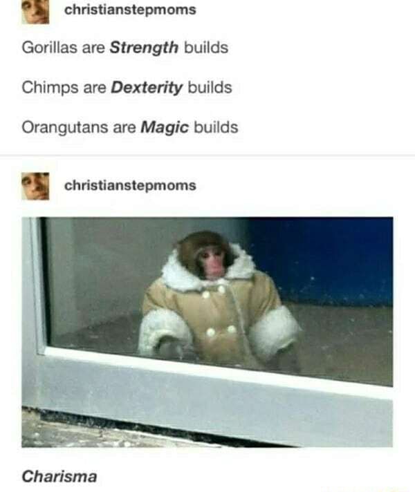Gorillas are Strength builds Chimps are Dexterity builds Orangutans are ...