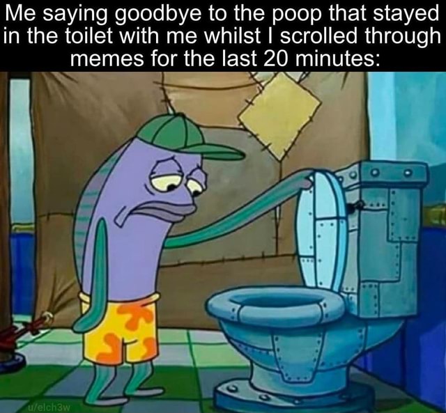 Me saying goodbye to the poop that stayed in the toilet with me whilst ...