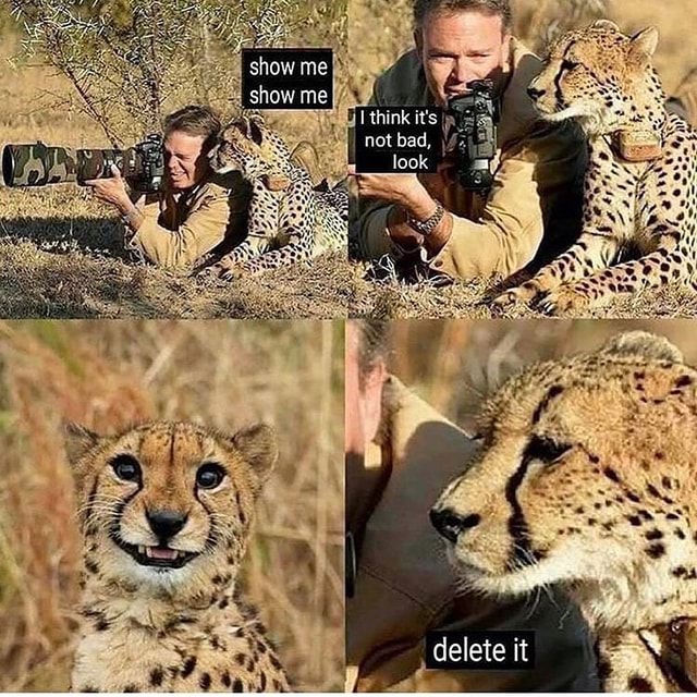 🤣 - show me show me I think it's not bad, look delete it - America’s ...