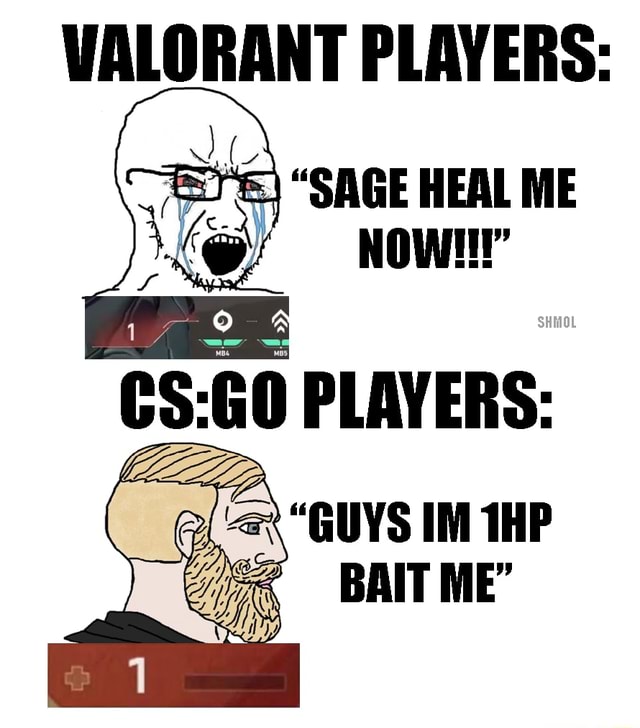 VALORANT PLAYERS: "SAGE HEAL ME NOW! "GUYS IM BAIT ME" - iFunny