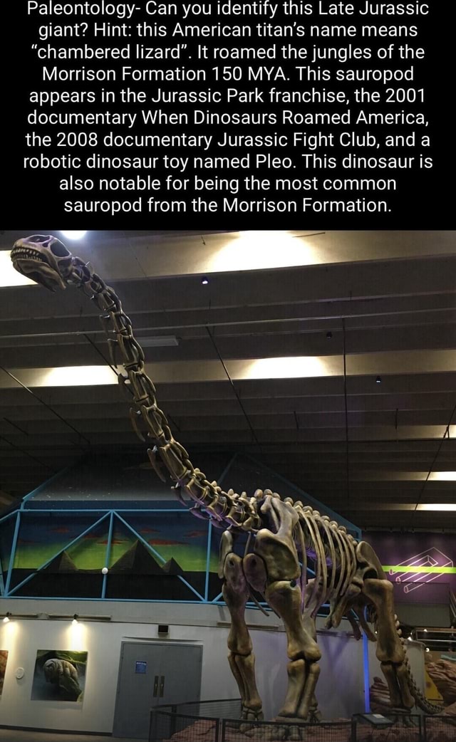 Paleontology- Can you identify this Late Jurassic giant? Hint: this ...