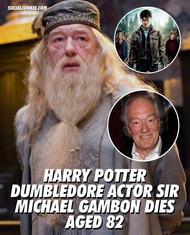 HARRY POTTER DUMBLEDORE ACTOR SIR MICHAEL GAMBON DIES AGED 82 - iFunny