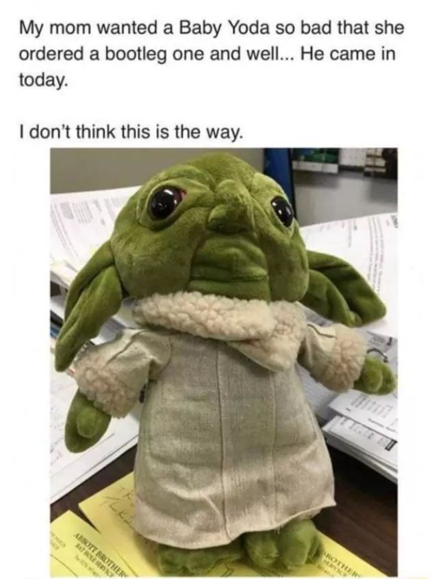 My mom wanted a Baby Yoda so bad that she ordered a bootleg one and ...