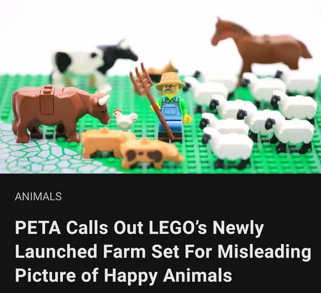 ANIMALS PETA Calls Out LEGO's Newly Launched Farm Set For Misleading ...