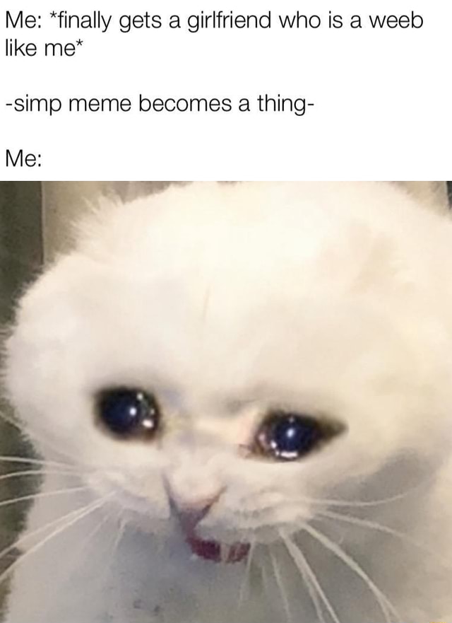 Me: "finally gets a girlfriend who is a weeb like me* -simp meme ...