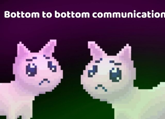 Bottom to bottom communication - iFunny