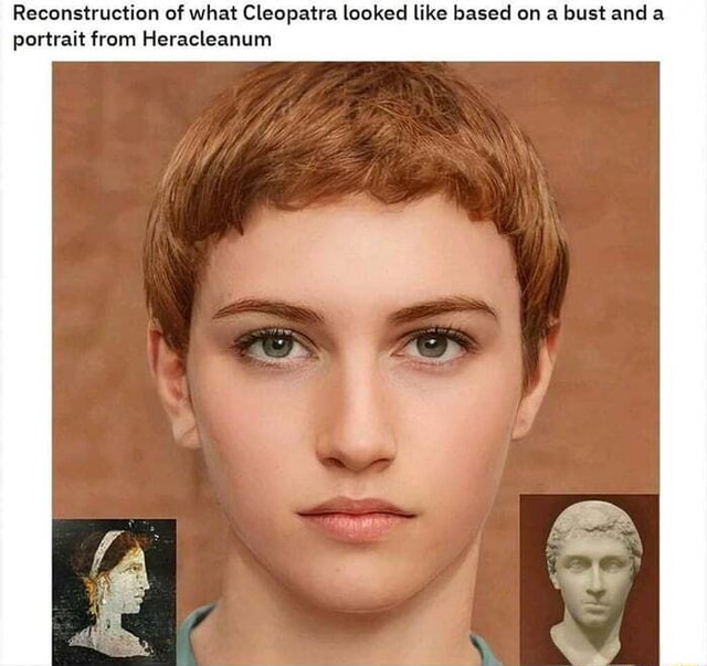 Reconstruction of what Cleopatra looked like based on a bust and a ...