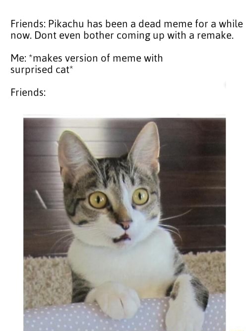Friends: Pikachu has been a dead meme for a whiLe now. Dont even bother ...