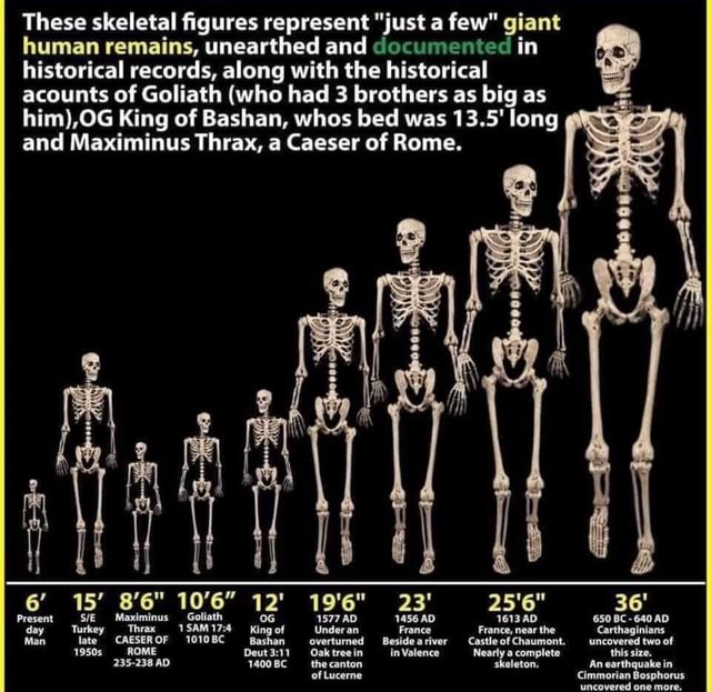 These skeletal figures represent "just a few" giant human remains ...
