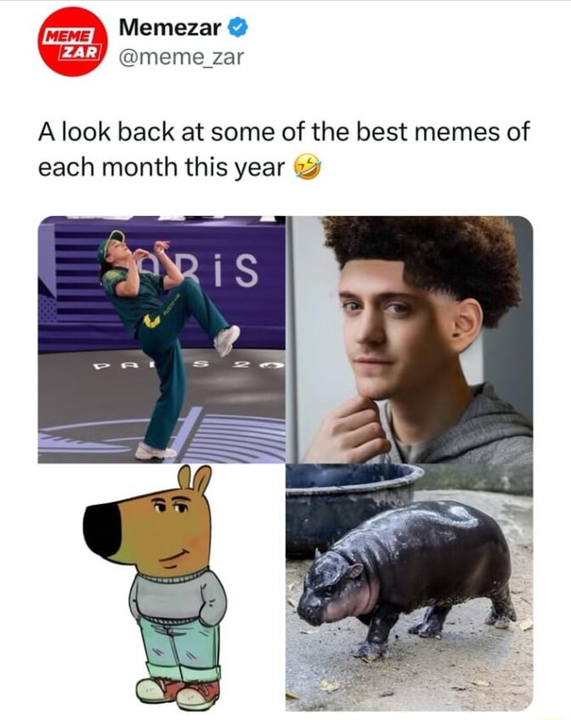 Memezar @meme zar A look back at some of the best memes of each month ...
