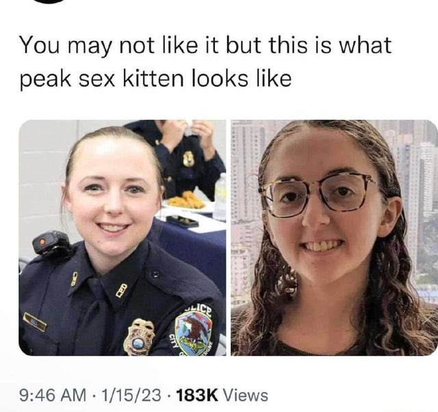 You May Not Like It But This Is What Peak Sex Kitten Looks Like Am 183k Views Ifunny