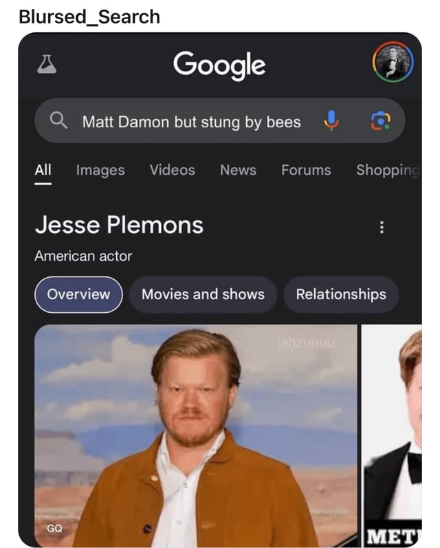 Blursed_Search Google Q. Matt Damon but stung by bees All Images Videos News Forums Shoppi Jesse ...
