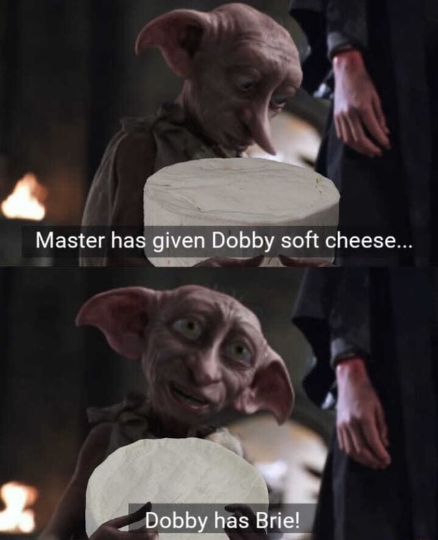 Master has given Dobby soft cheese... Dobhy has Briel - iFunny