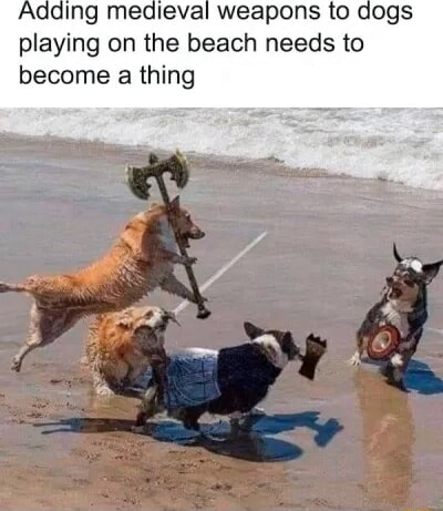 Adding medieval weapons to dogs playing on the beach needs to become a ...