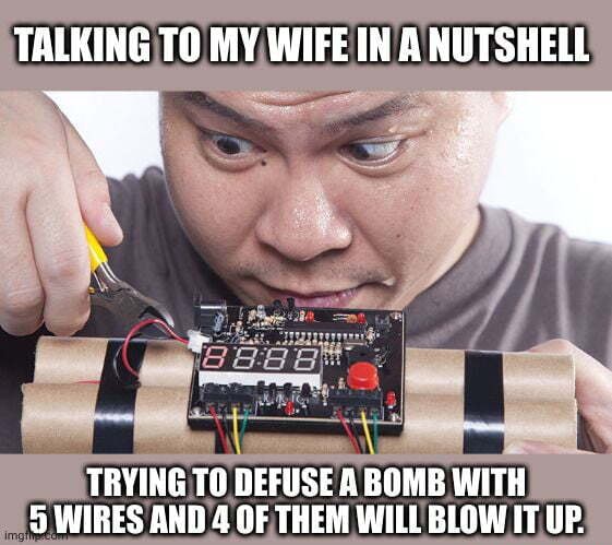 TALKING TO MY WIFE IN A NUTSHELL TRYING TO DEFUSE A BOMB WITH BRWIpce ...