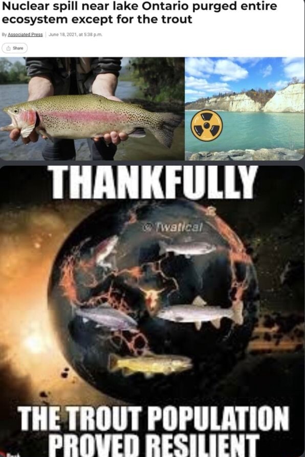 Nuclear spill near lake Ontario purged entire ecosystem except for the ...