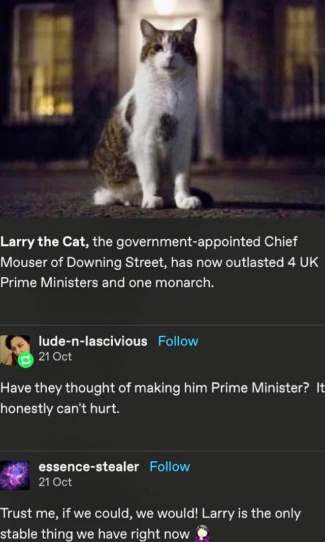 Larry the Cat, the government-appointed Chief Mouser of Downing Street ...