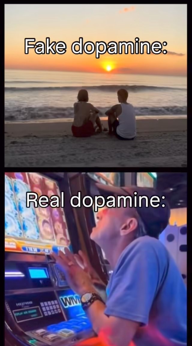 Fake dopamine: Real dopamine: - iFunny