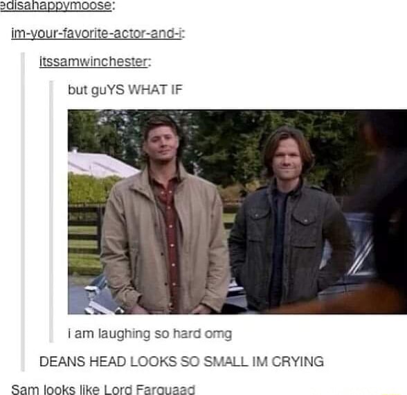 2disahappymoose: im-your-favorite-actor-and-: itssamwinchester: but ...