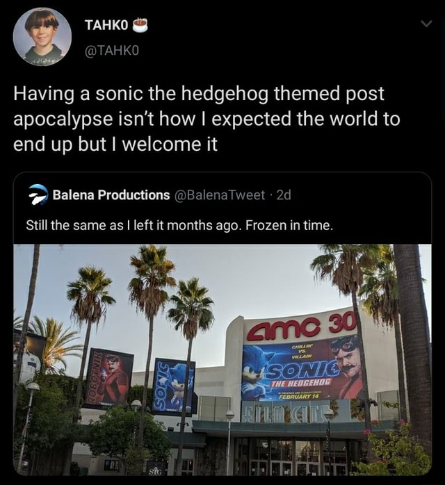 TAHKO Having a sonic the hedgehog themed post apocalypse isn't how I ...
