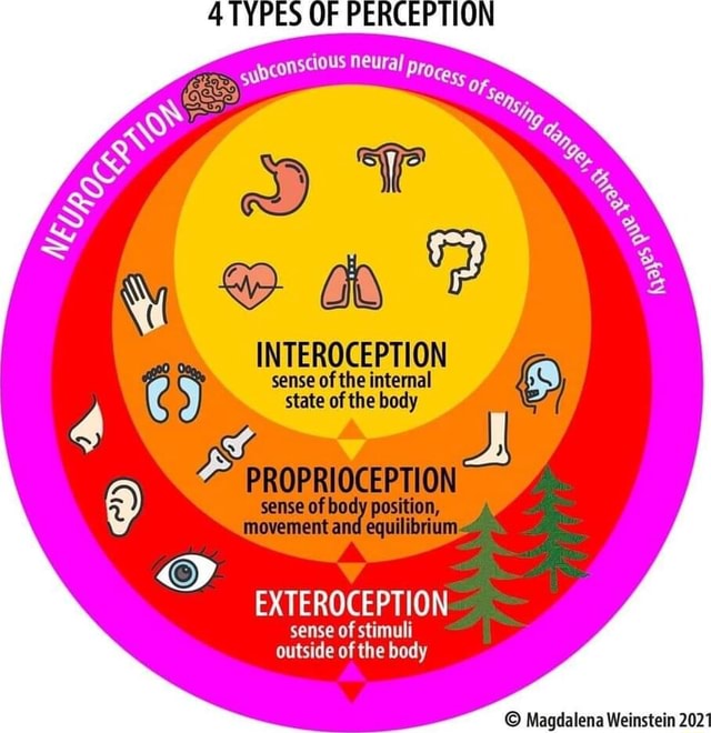 4 TYPES OF PERCEPTION ~ ee ie INTEROCEPTION sense of the internal state ...