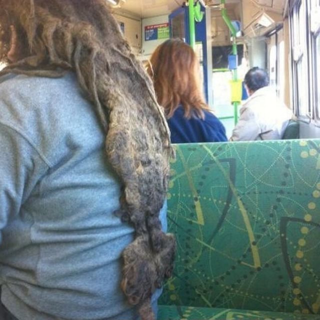 Cursed image + blessed slides - America’s best pics and videos