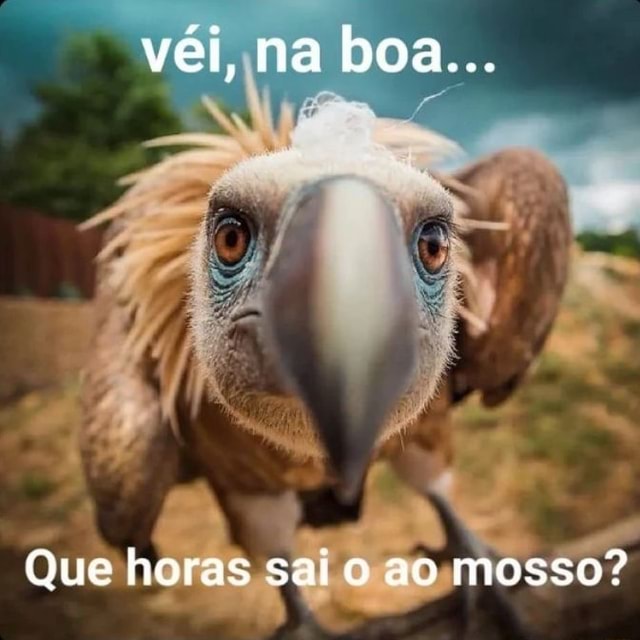 Véi, na boa... Que horas saio ao mosso? - iFunny Brazil