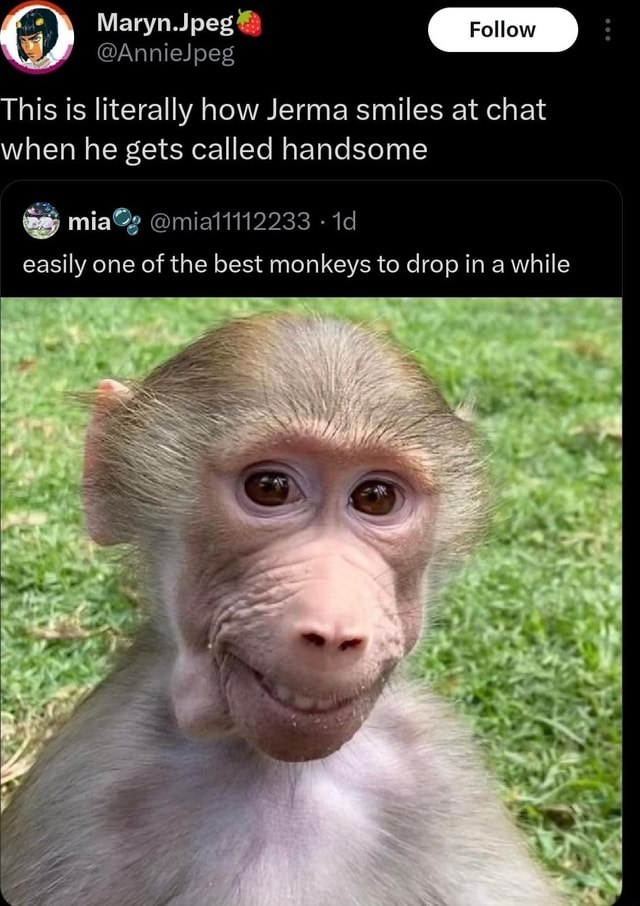 This is literally how Jerma smiles at chat when he gets called handsome ...