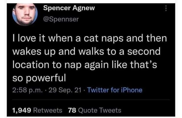 Spencer Agnew @Spennser I love it when a cat naps and then wakes up and ...