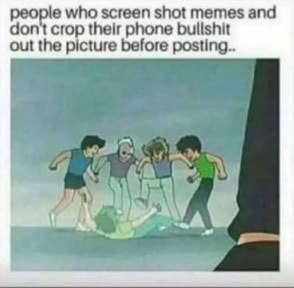People who screen shot memes and don't crop their phone bullshit out ...