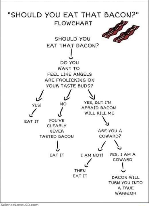 "SHOULD YOU EAT THAT BACON?" FLOWCHART SHOULD YOU EAT THAT BACON? you ...