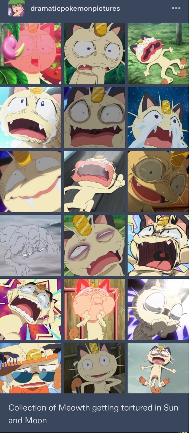 Dramaticpokemonpictures I Collection of Meowth getting tortured in Sun ...