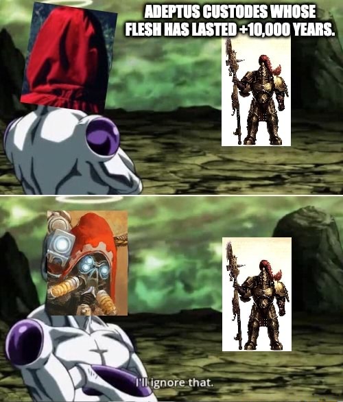 ADEPTUS CUSTODES WHOSE FLESH HAS LASTED +10,000 YEARS. Wikignore.that ...