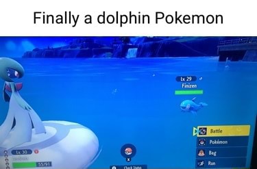 Finally a dolphin Poke - iFunny