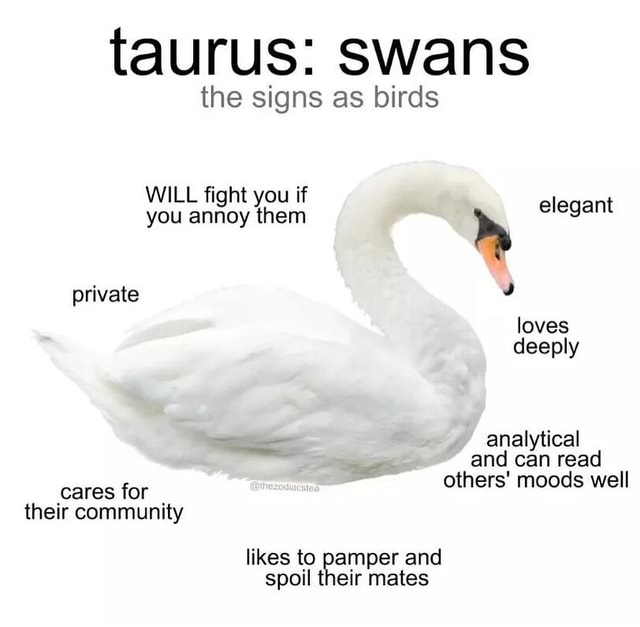 Part 1 / the signs as birds 🦢 . . . . . . . . . . . . . . #aries # ...