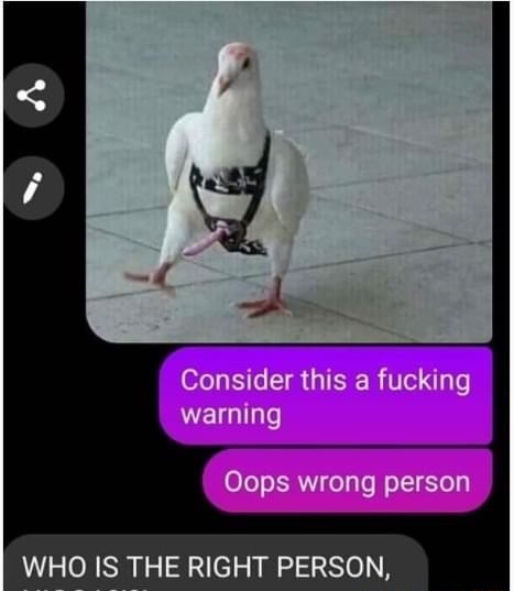 Consider this a fucking warning Oops wrong person WHO IS THE RIGHT PERSON, - iFunny