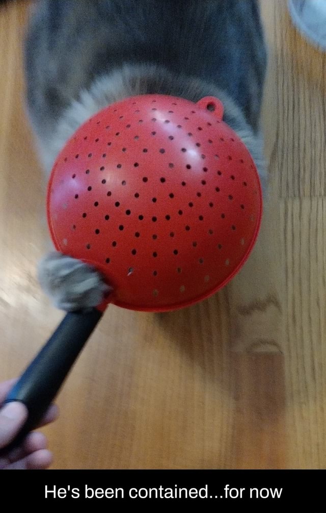 Fob) Cc fob) fob) He - iFunny