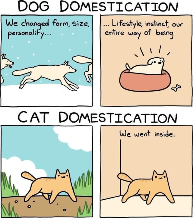 DOG DOMESTICATION We changed form, Size, personality... Lifestyle ...
