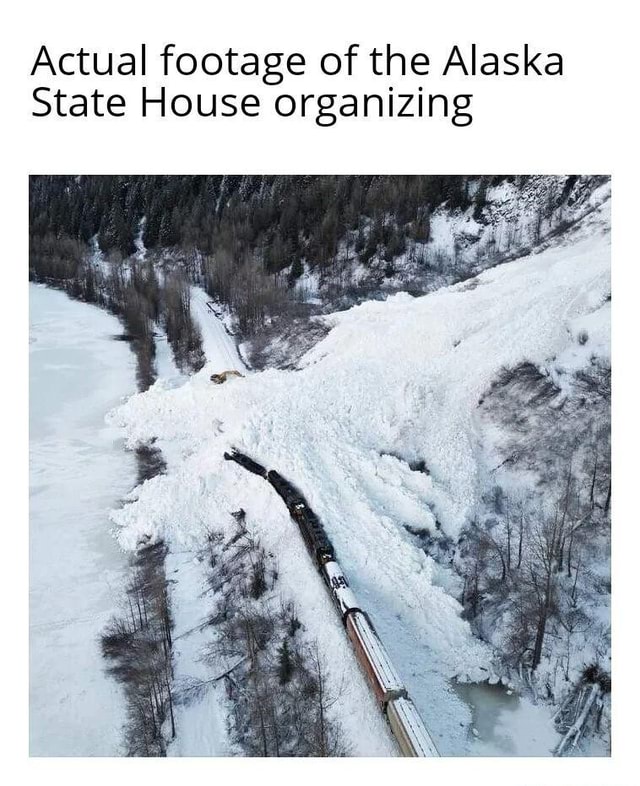 🤨🤔😂😥 #alaskamemes #alaska #memes #akleg #trainwreck - Actual footage of ...