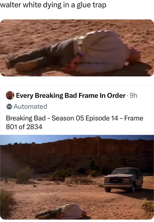 Walter white dying in a glue trap Every Breaking Bad Frame In Order ...