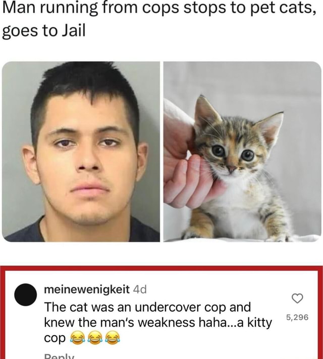 An running from cops stops to pet cats, goes to Jail I meinewenigkeit ...