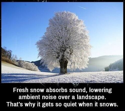 Sill Fresh snow absorbs sound, lowering ambient noise over a landscape ...
