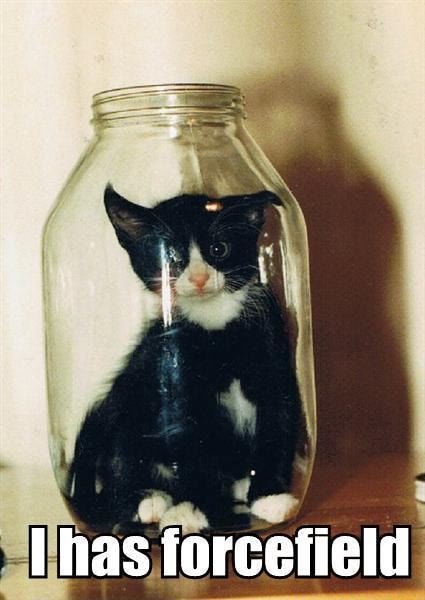 Good old fashioned cat memes - has forcetield - iFunny