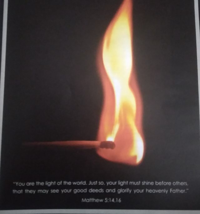 We the light of the worid. Just so. your light must shine before others ...