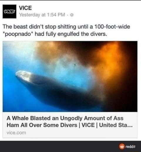 VICE al The beast didn't stop shitting until a wide "poopnado" had ...