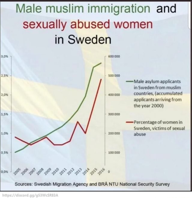 25% Male muslim immigration and sexually abused women in Sweden 600000 ...