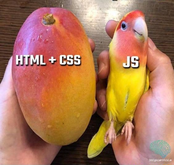 HTML + CSS JS - iFunny