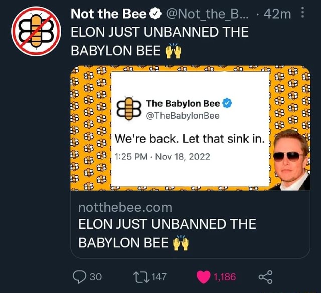 Not the Bee @ @Not the B... - ELON JUST UNBANNED THE BABYLON BEE The ...