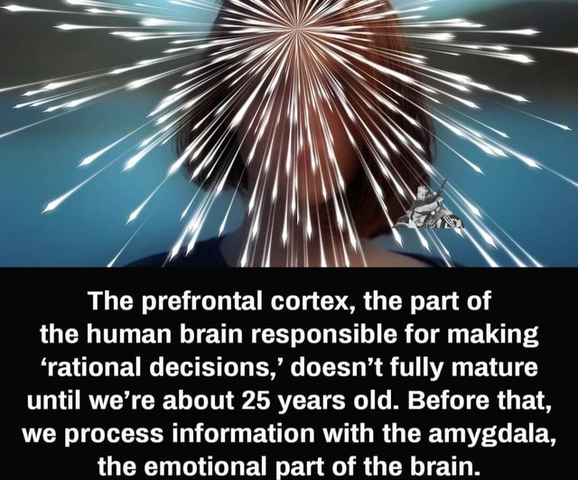 The prefrontal cortex, the part of the human brain responsible for ...